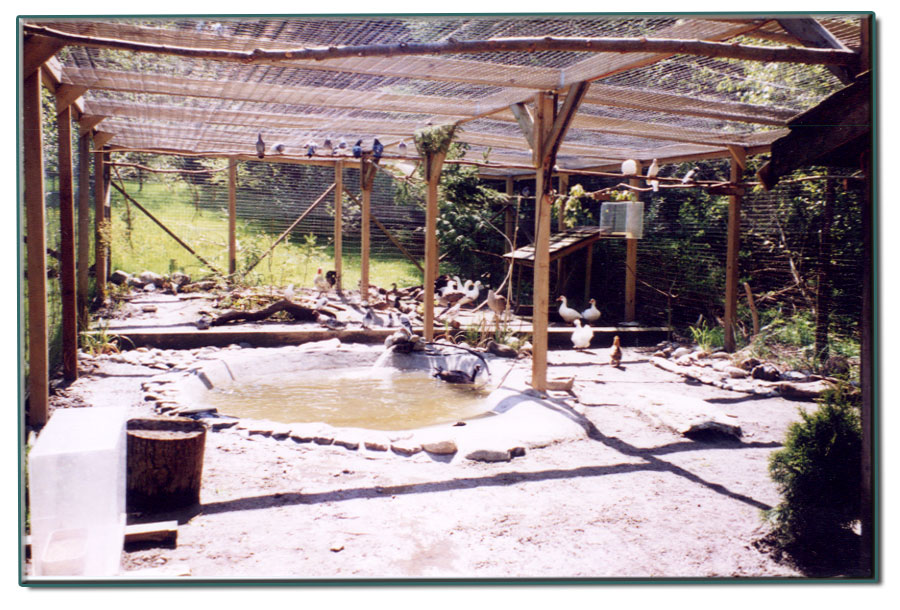 large aviaries for birds